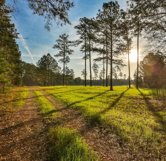American Forest Management / GFA 2026 Annual Conference
