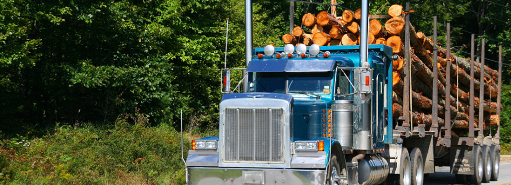 Georgia Forestry Commission Holds Public Comment Period for Updated ...