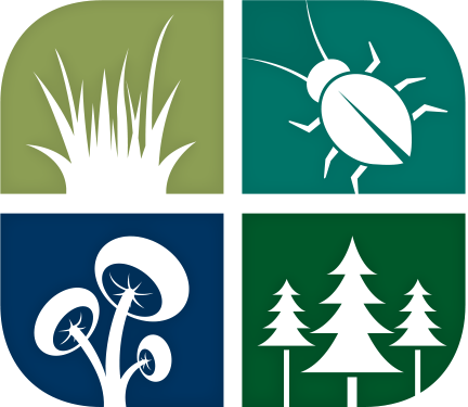 Southern Regional Extension Forestry Provides New Initiatives On Forest ...