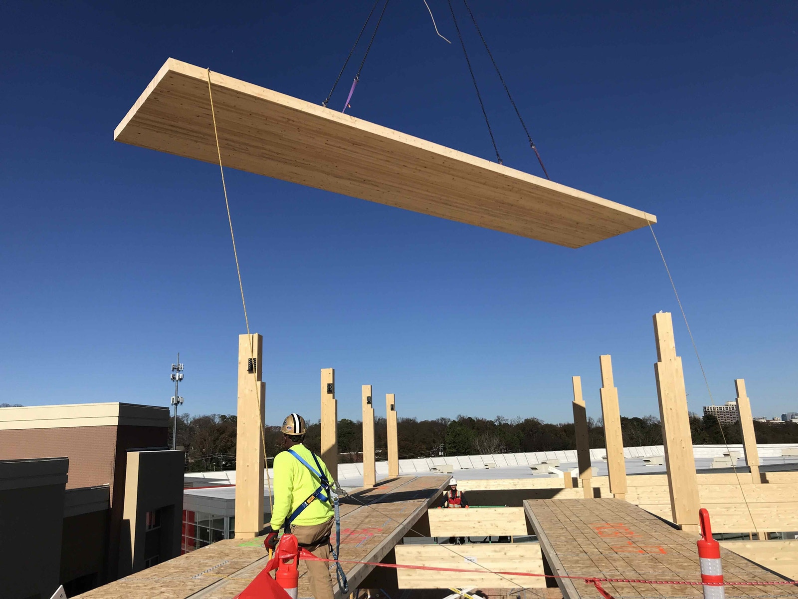 Mass Timber Technology Holds Promise for Georgia Forestry - Georgia ...