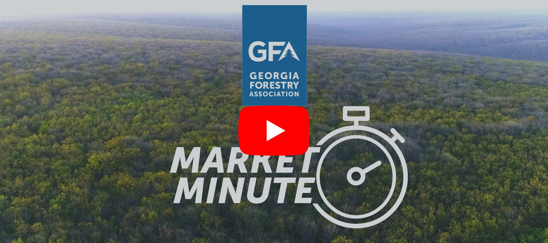 Georgia Forestry Association | We Grow Trees