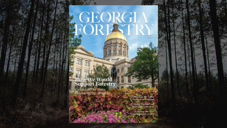 Georgia Forestry Magazine Fall Issue Provides a 2022 Election Guide ...