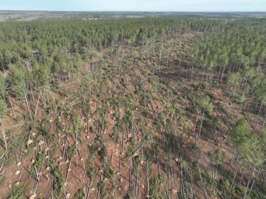 Natural Disaster Response Opportunities for Forest Landowners - Georgia ...