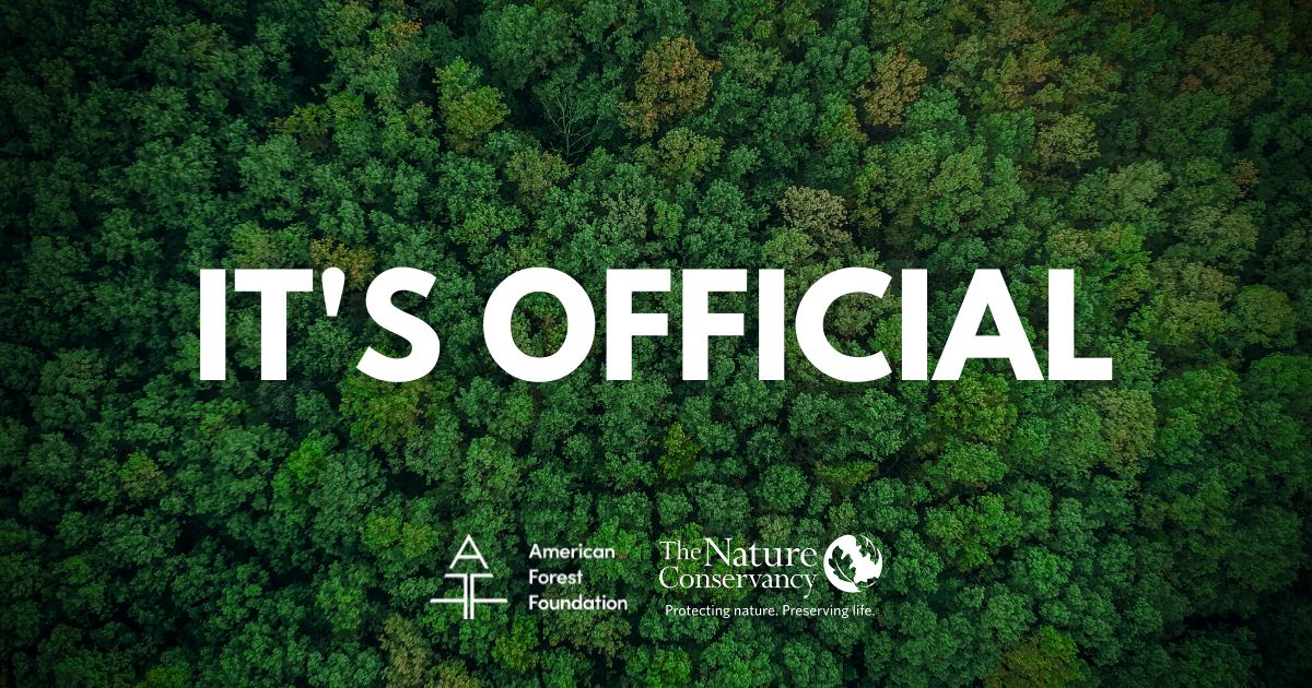 Family Forest Carbon Program Methodology Receives Verra Standard ...