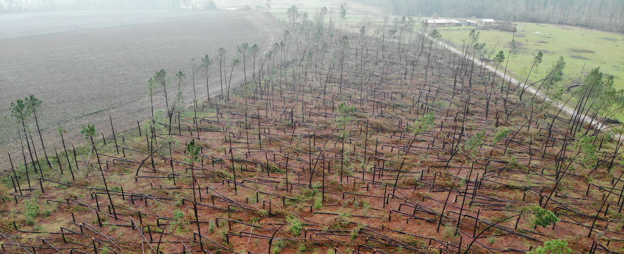 Natural Disaster Response Guide: Considerations for Forest Landowners ...