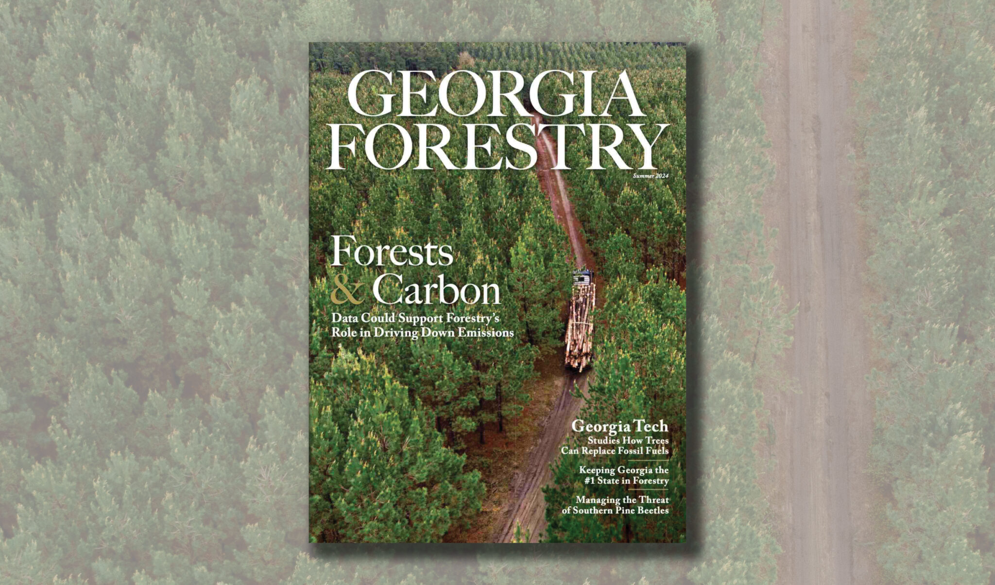 Georgia Forestry Magazine Highlights Forests & Carbon - Georgia ...