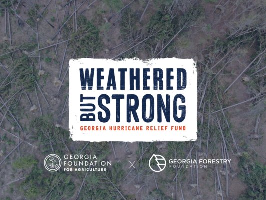 LIVE: Hurricane Helene Resources & Information - Georgia Forestry ...