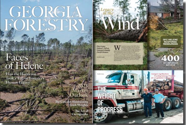 Georgia Forestry Magazine: Winter 2025 - Georgia Forestry Association